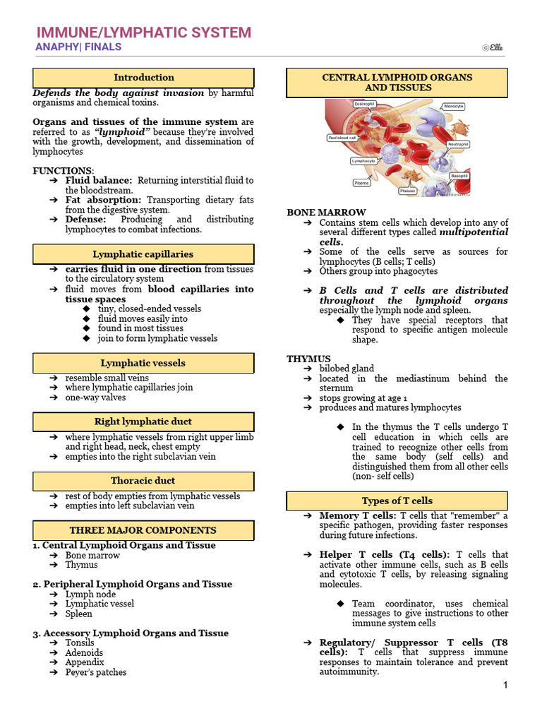 ANAPHY Lymphatic System | PDF | Lymphatic System | Lymph Node