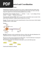 Class 10 Science - Biology Chapter 2 Control and Coordination | PDF | Nervous System | Central ...