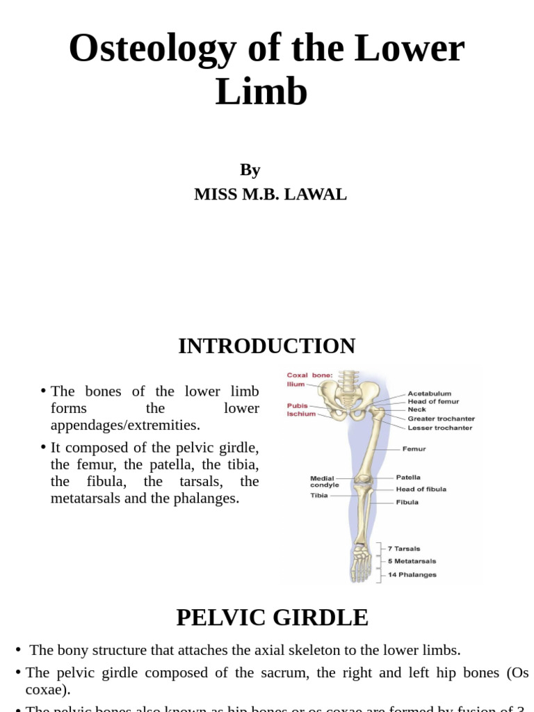 Casting Of Lower Limb Pdf , Lower Limb Trauma: Cast Application For ...