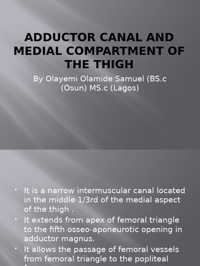 Adductor Canal and Medial Compartment of The Thigh | PDF | Human Leg ...