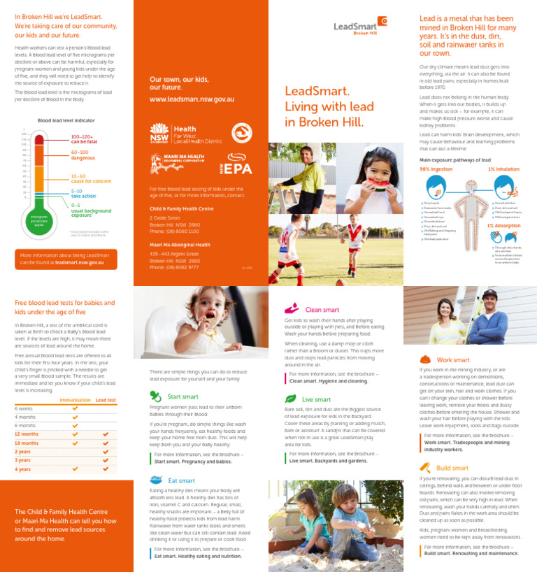 LeadSmart Brochure GeneralAwareness | PDF | Lead