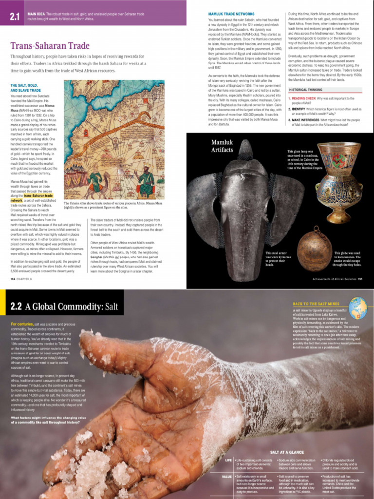 [Reference] Trans-Saharan Trade | PDF