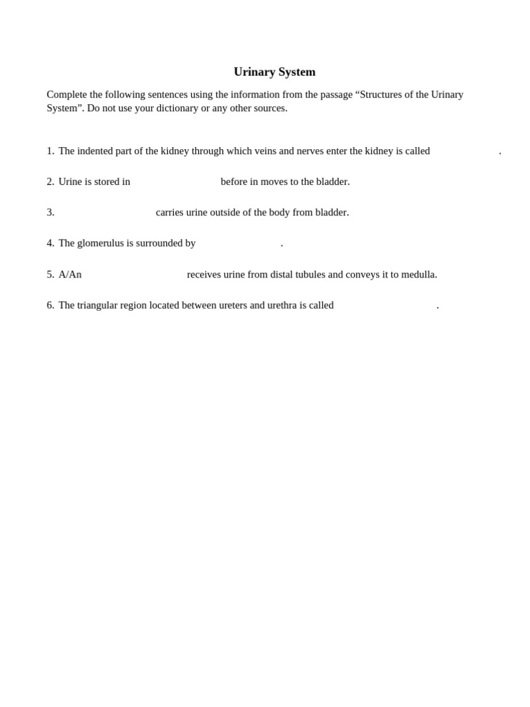 Structure of Urinary System | PDF