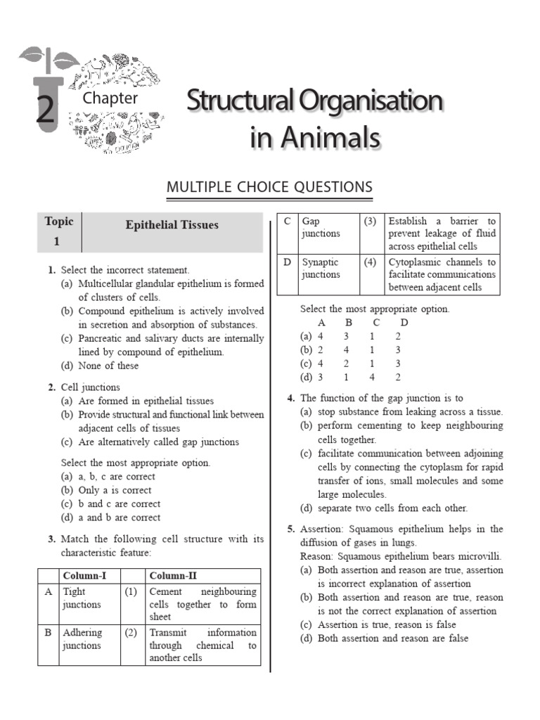 Structural Organization in Animals | PDF | Connective Tissue | Epithelium