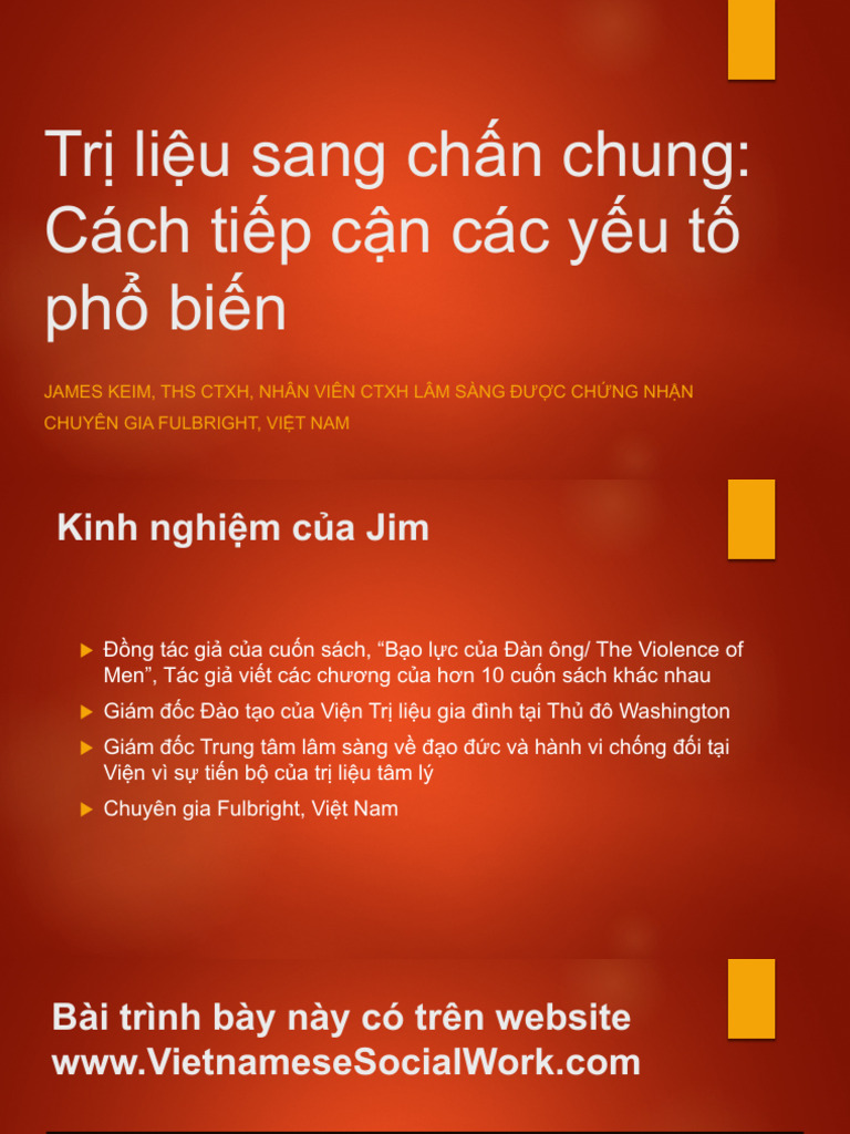 WS02 Common Factors in Trauma Therapy James Keim VNE | PDF