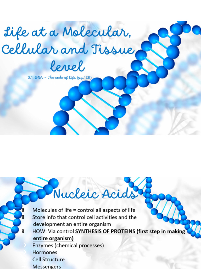 27. DNA - The code of life | PDF | Dna | Dna Replication