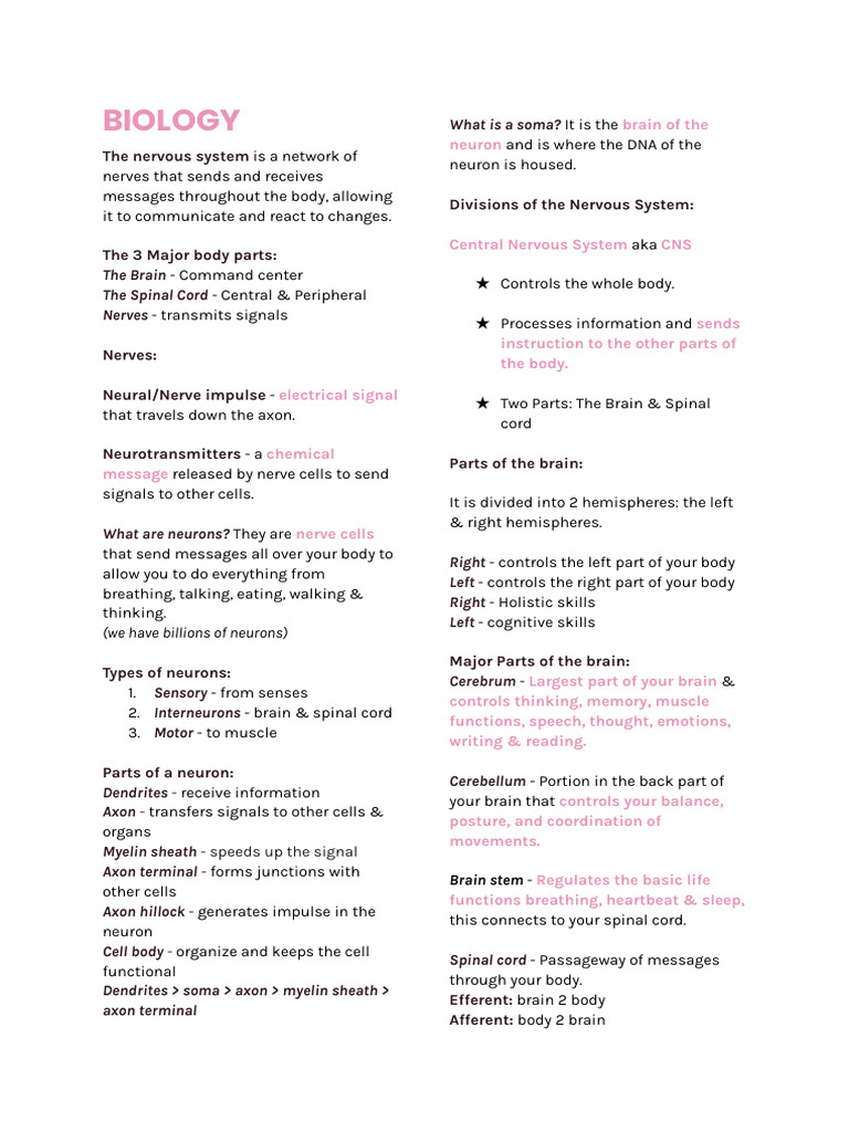 Biology Reviewer | PDF | Neuron | Central Nervous System