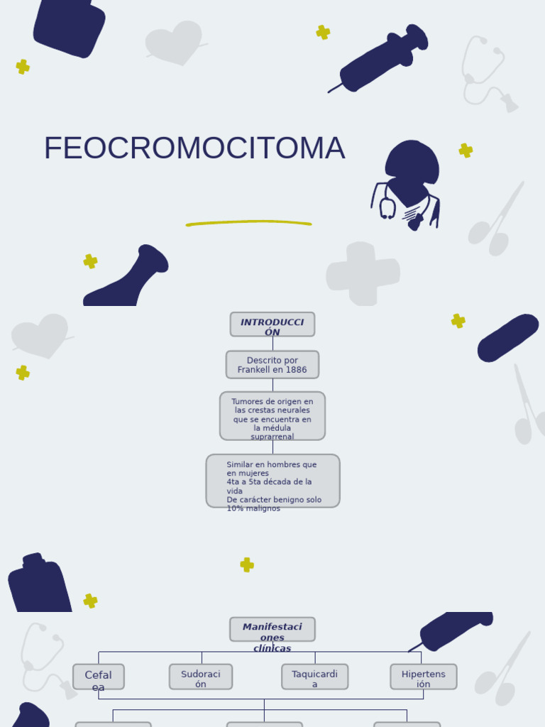 feocromocitoma - Fisiopatologia (1) | PDF | Enfermedades y trastornos humanos | Causas de la muerte