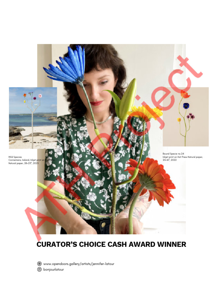 100 Emerging Artist DRAFT 1 | PDF | Paintings | Acrylic Paint