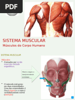 Músculos Do Crânio | PDF | Morfologia (Biologia) | Rosto