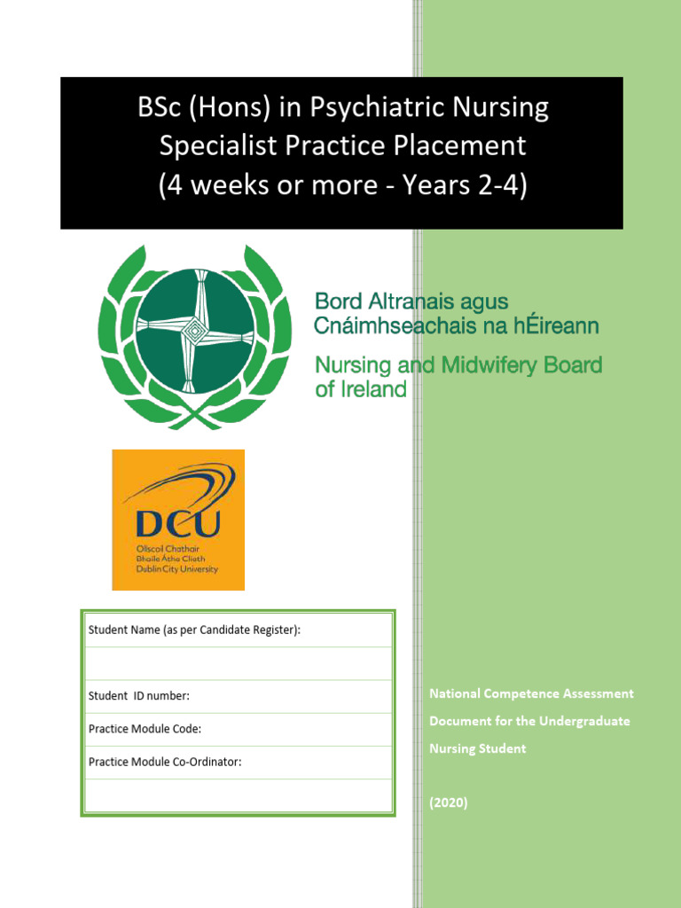 NMBI Competence Assessment for Nursing | PDF | Nursing | Reflective ...