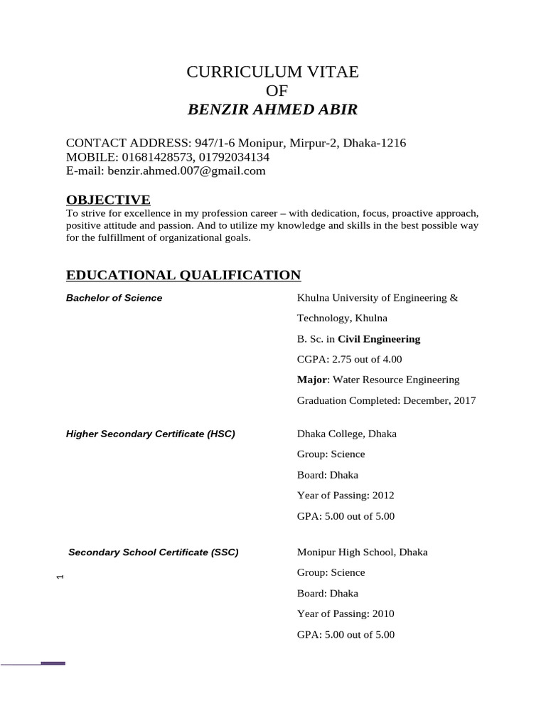 CV-Benzir Ahmed Abir | PDF