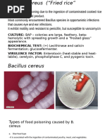 FDA BAM Chapter 14: B. cereus Testing | PDF