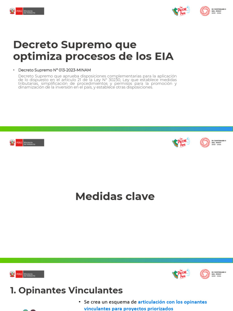 Optimización de Procesos EIA | PDF | Evaluación de impacto ambiental