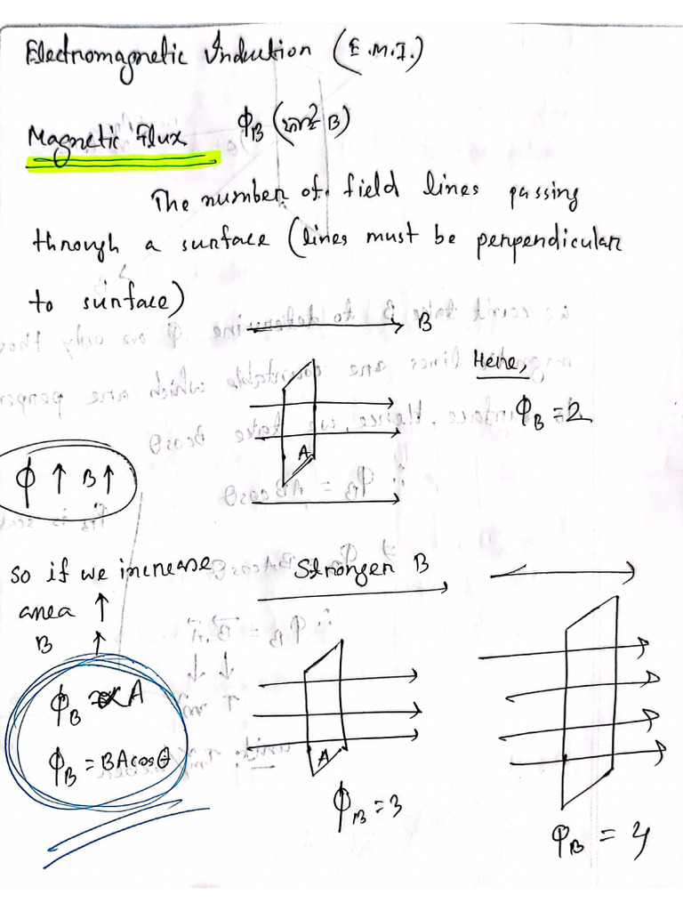 Magnetism - Sakib Ikbal - 202019001 | PDF
