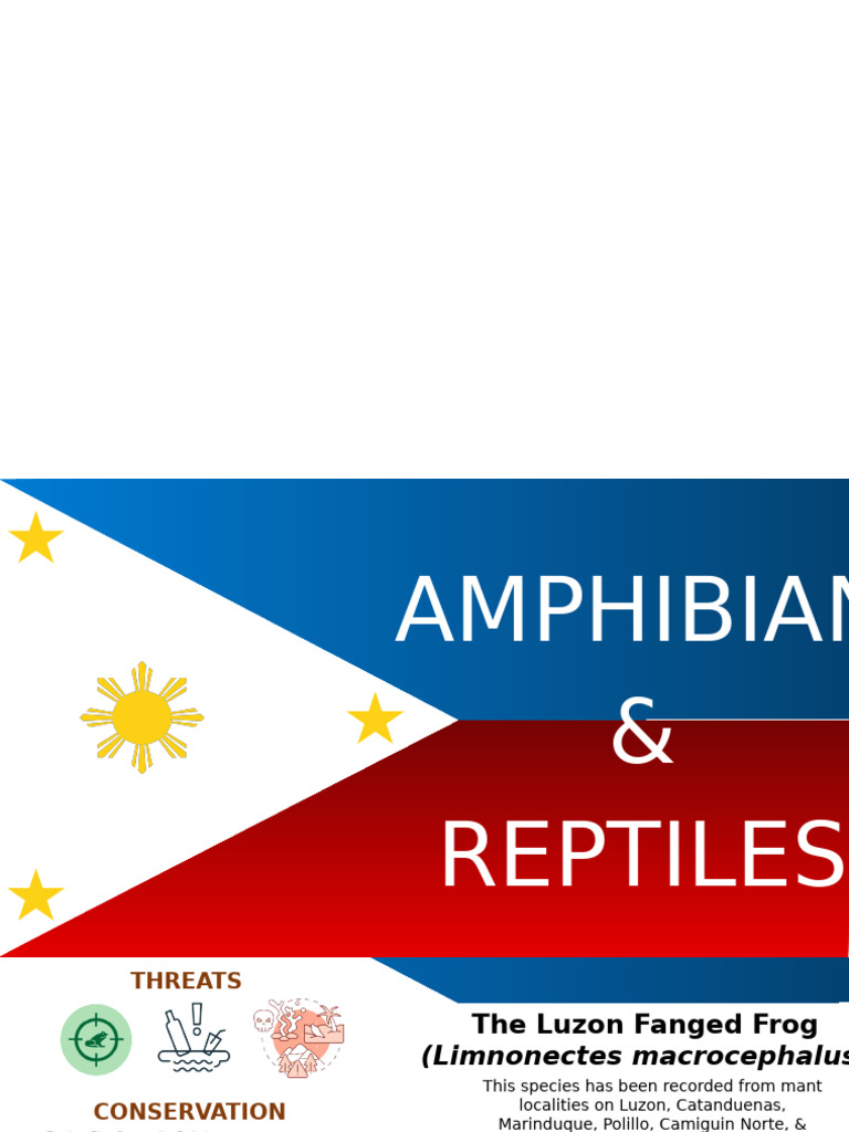 Amphibian Reptiles Report | PDF | Reptile | Herpetology