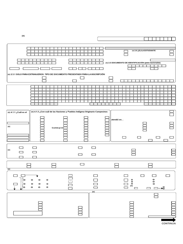 Formulario Inscripción Estudiantil RUDE | PDF | Documento de identidad