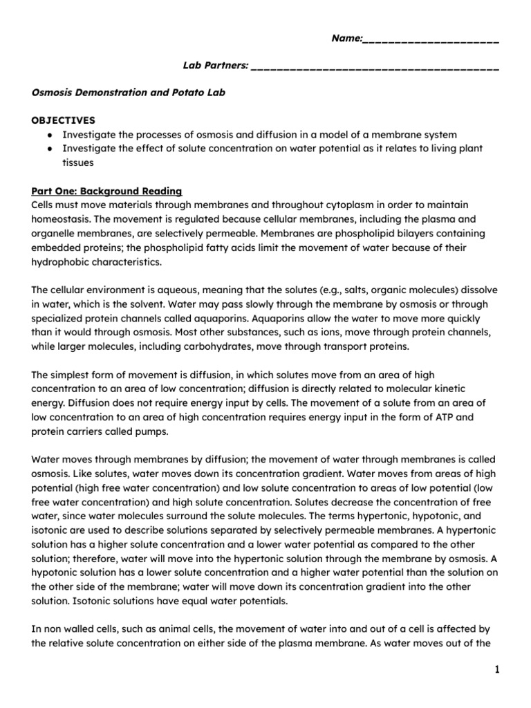 Osmosis Lab Potato | PDF | Osmosis | Cell Membrane