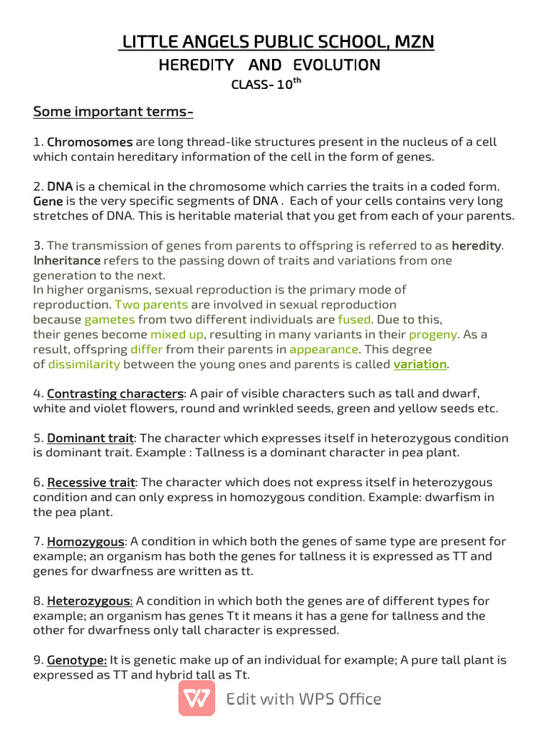 HEREDITY Notes Class 10 | PDF | Dominance (Genetics) | Blood Type
