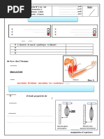 Contrôle SVT 3AC Semestre 2 | PDF | Nerf | Muscle squelettique