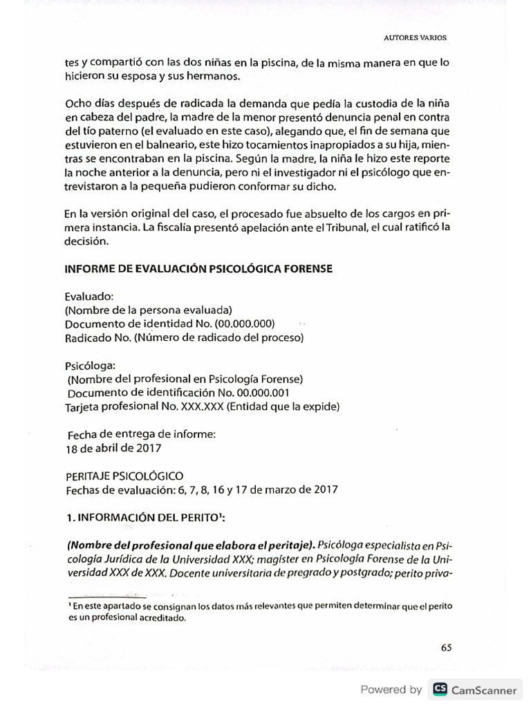 Modelo de Peritaje | PDF