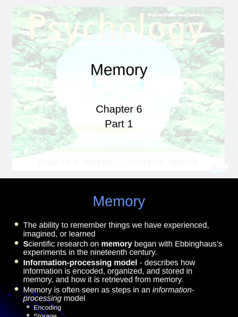 Chapter 6_Part 1 | PDF | Memory | Long Term Memory