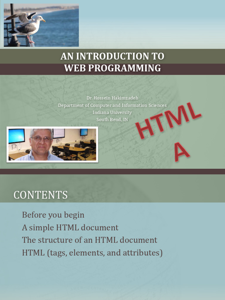 Intro To Web Programming | PDF | Html | Html Element