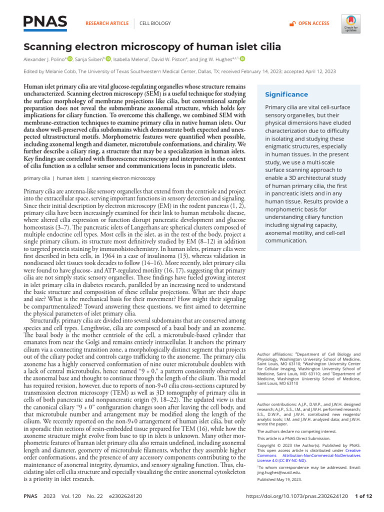 Polino Et Al 2023 Scanning Electron Microscopy of Human Islet Cilia | PDF | Cytoplasm | Histology