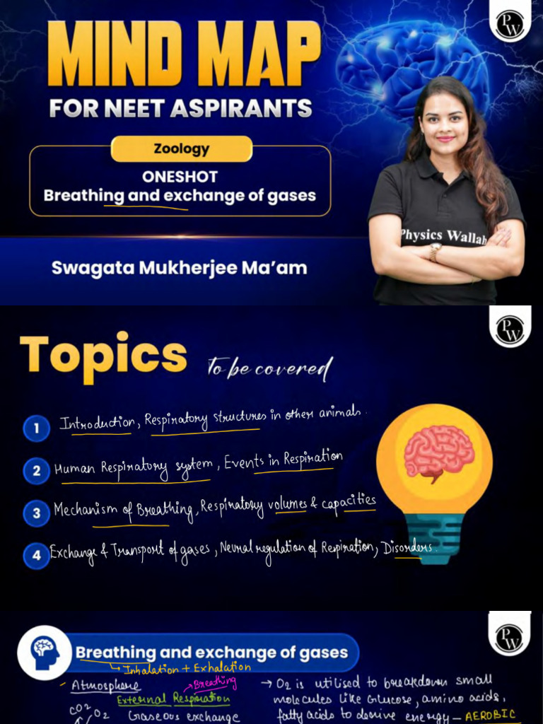 Breathing and Exchange of Gases - Class Notes - NEET Mind Map 2025 | PDF