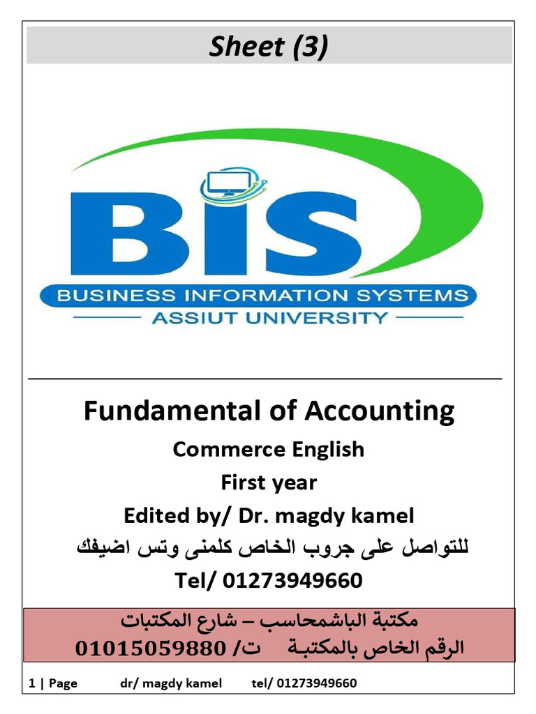 sheet (3) BIS | PDF | Debits And Credits | Economies