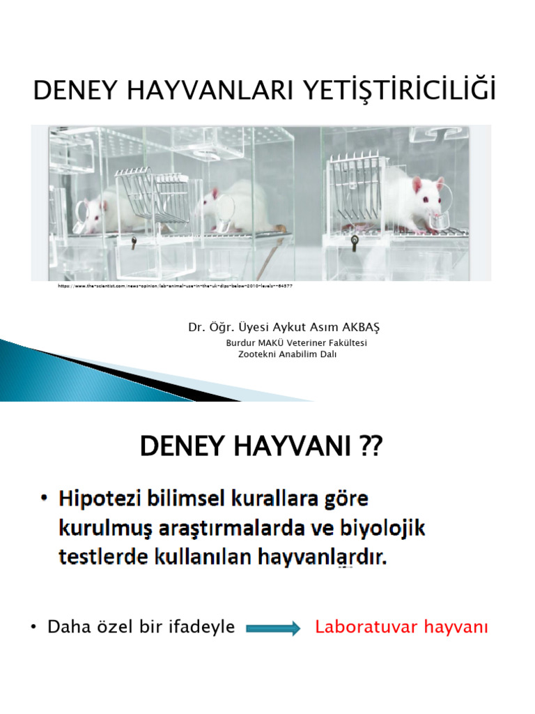 Deney Hayvanlari Yetistiriciligi | PDF