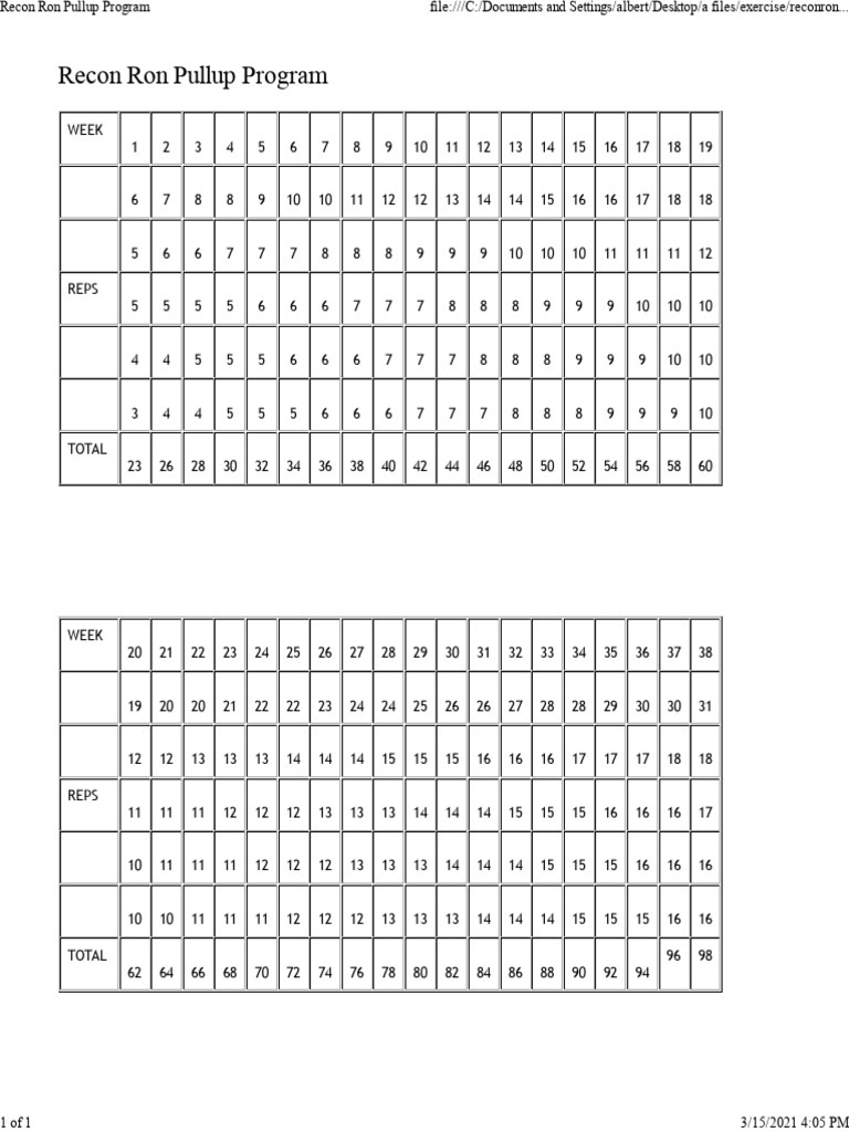 Recon Ron Pullup Program | PDF