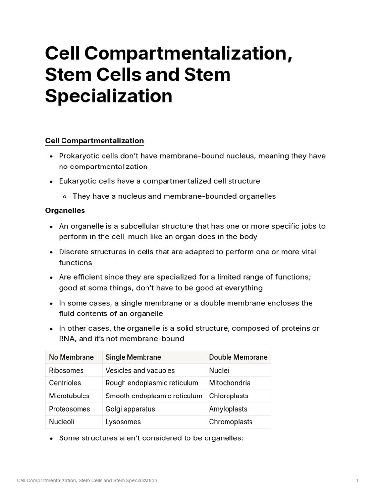 Cell Compartmentalization Stem Cells and Stem Specialization | PDF ...