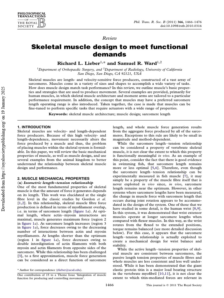 Skeletal Muscle Design and Function | PDF | Muscle Contraction ...