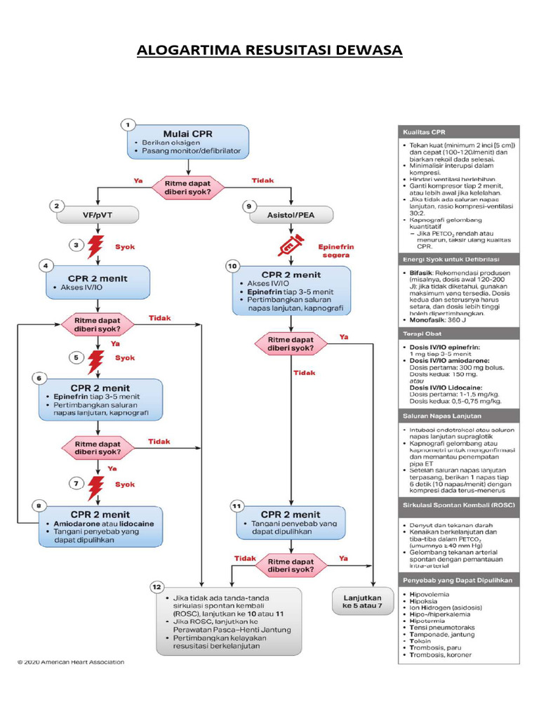 Alogartima Resusitasi Dewasa | PDF