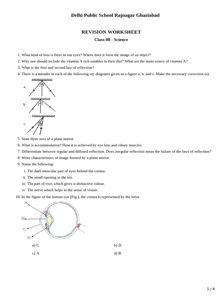 Light Worksheet Grade 8 | PDF | Eye | Reflection (Physics)