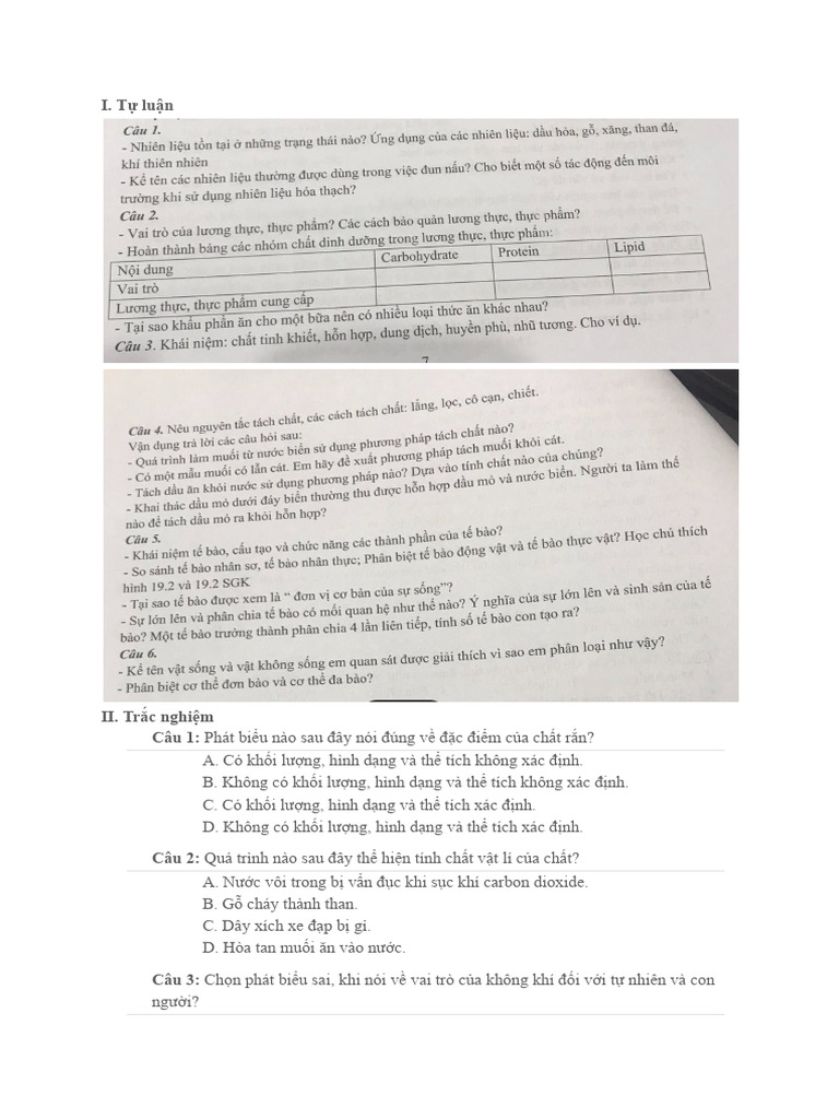 BTVN 11.10.2024 | PDF