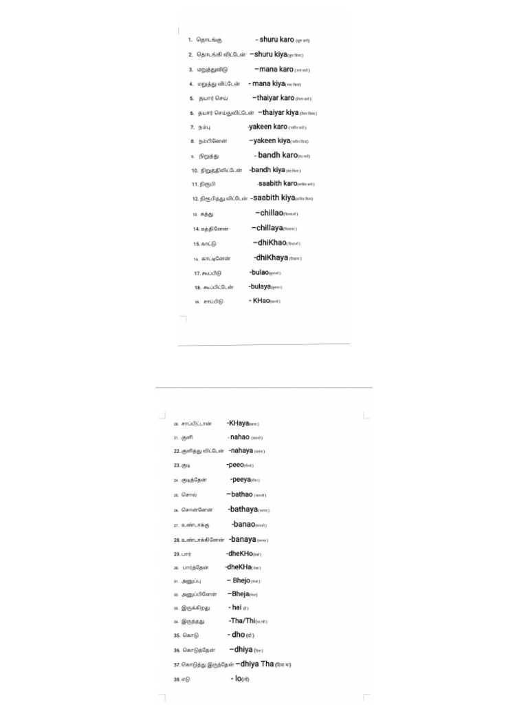 Badic Hindi Words | PDF