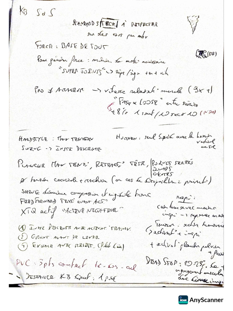 2402 Résumé Simple Sinister | PDF