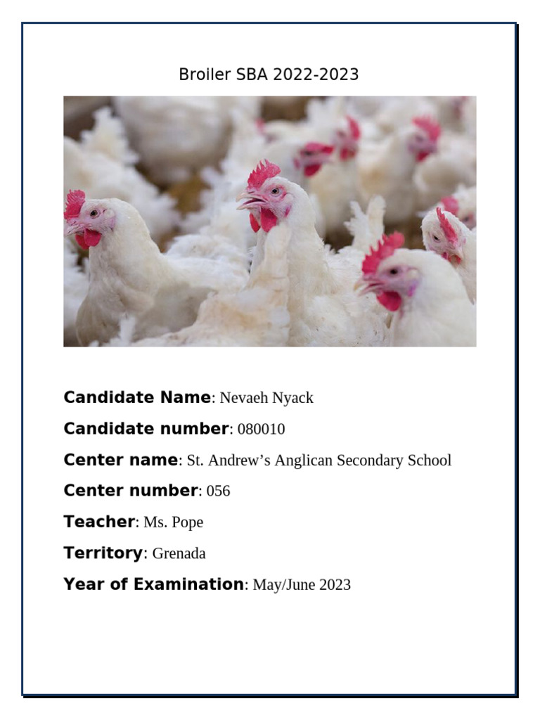 agr.boilers production sba | PDF | Expense | Broiler