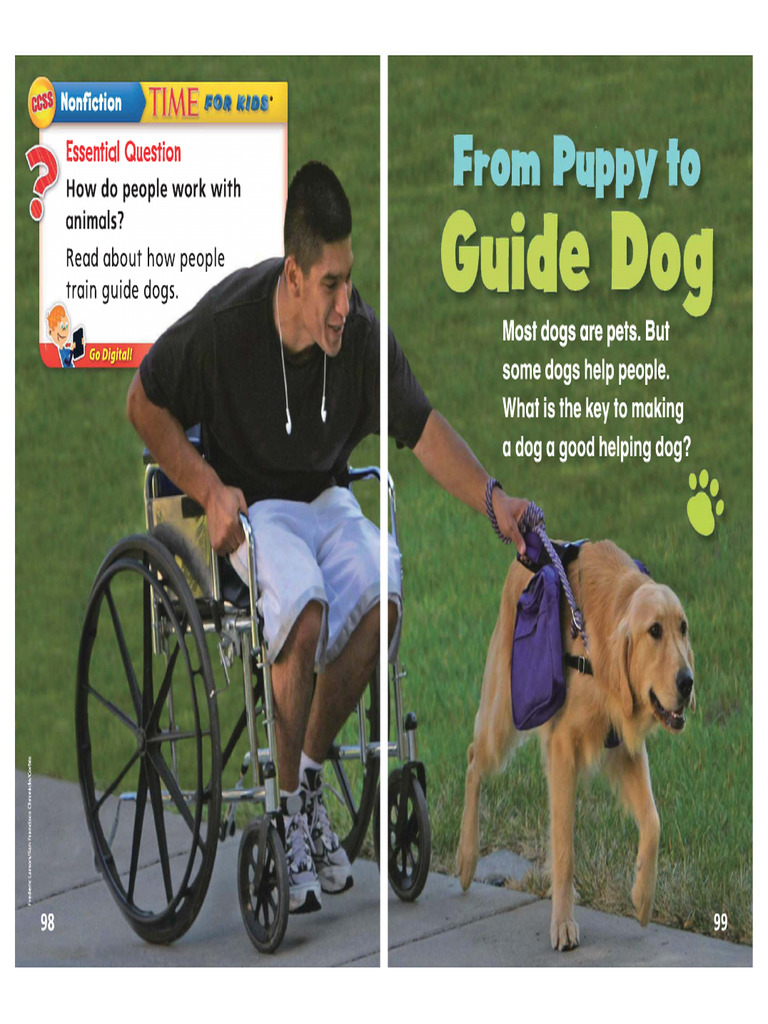 Readin Wonders | PDF