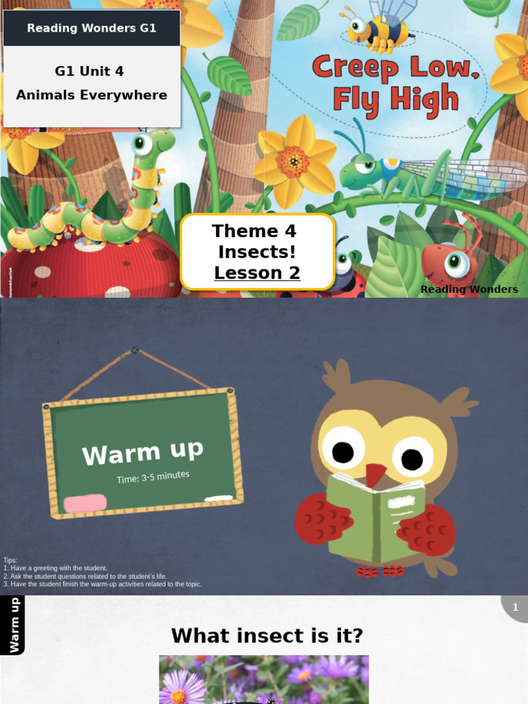 Creep Low, Fly High: Insect Adventures | PDF | Insects | Insects And Humans