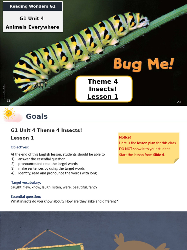 Insects Lesson Plan for Grade 1 | PDF | Vocabulary | Phonics