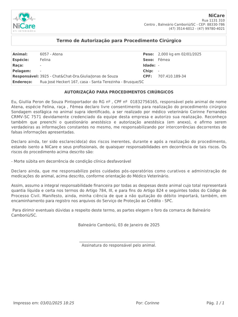 Termo de Autorização para Procedimento Cirúrgico - Atena - Chat&Chat ...