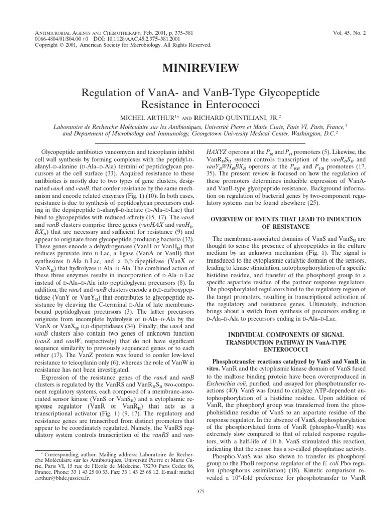 Van | PDF | Promoter (Genetics) | Protein Kinase