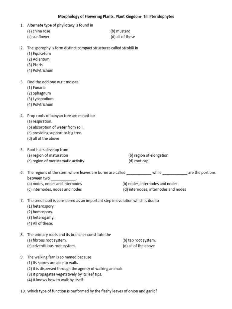 Root, Stem and leaf, Plant till Pterido | PDF | Leaf | Plant Stem