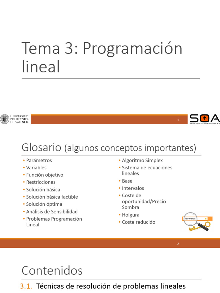 Tema3_entero_duplicados | PDF | Programación lineal