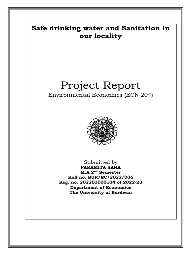 Local Water & Sanitation Report | PDF