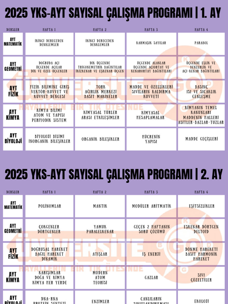 2025 Ayt Sayisal Calisma Programi | PDF