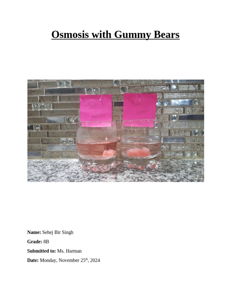 Osmosis With Gummy Bears | PDF | Osmosis | Experiment